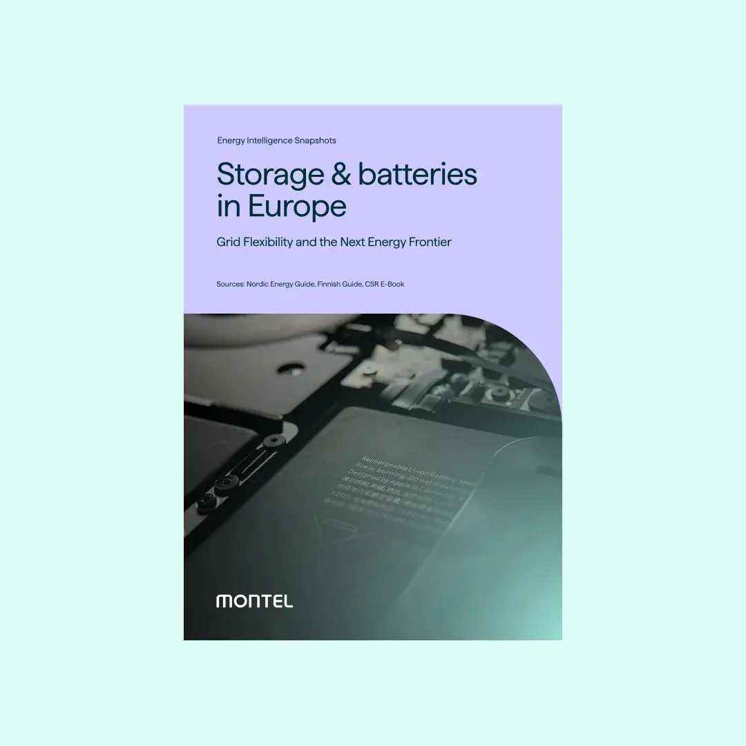 Storage and batteries in Europe