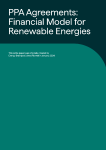 Power purchase agreements: financial model for renewable energies