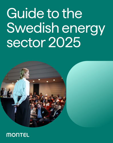 Swedish Energy Day 2025 Ebook